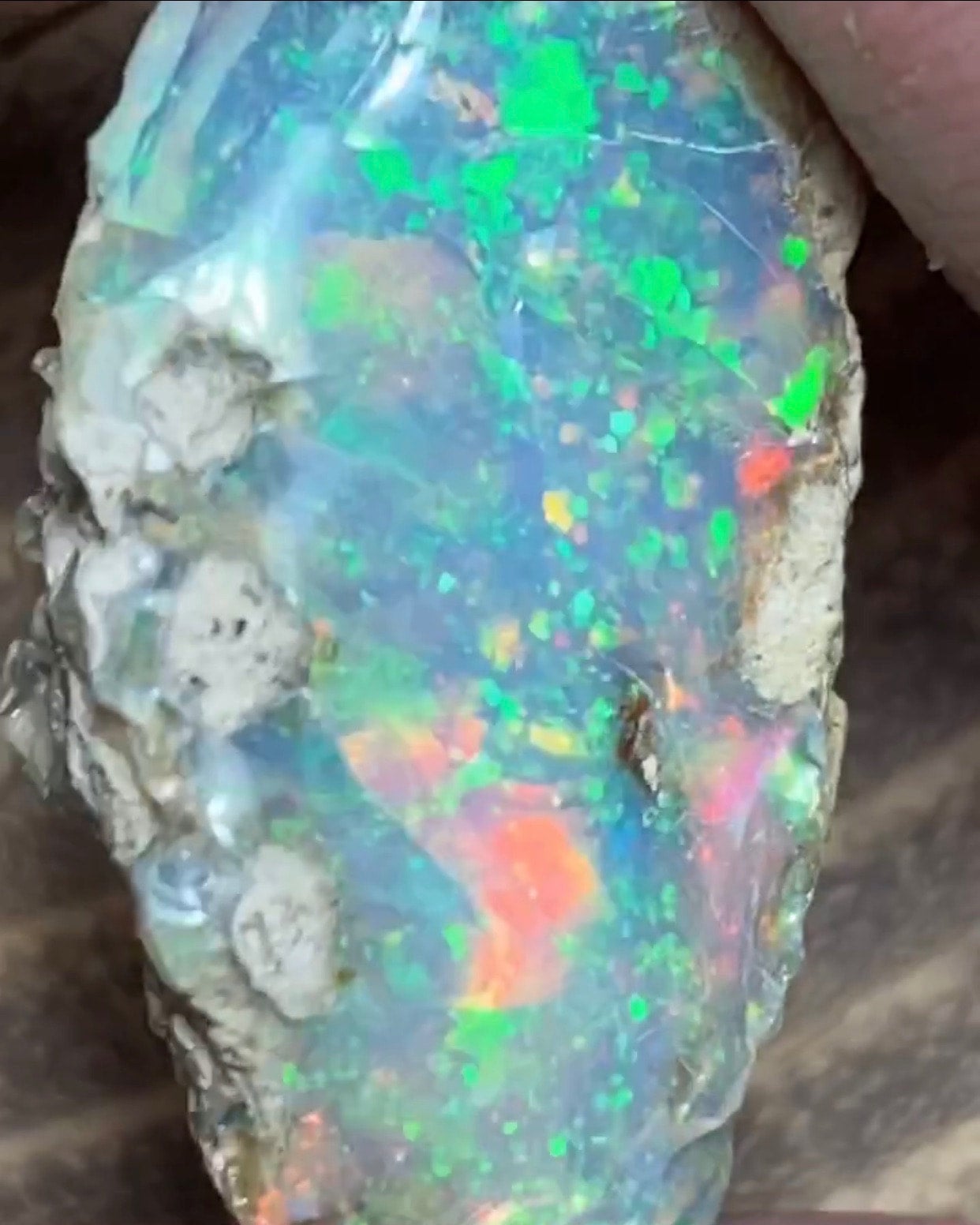 Collection Specimen~11.5ct Brilliant 5/5 Pinfire/Confetti Patterns Welo ...